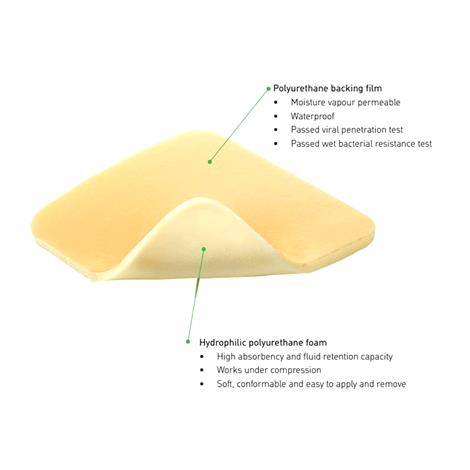 Molnlycke Lyofoam Max Polyurethane Foam Dressing | Foam Dressings