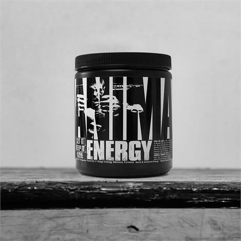 Universal Animal Energy Dietary Supplement | Energy & Endurance