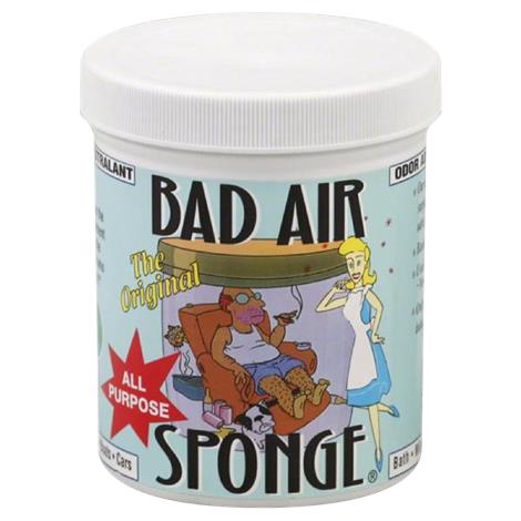 Bad Air Sponge | Odor Eliminator