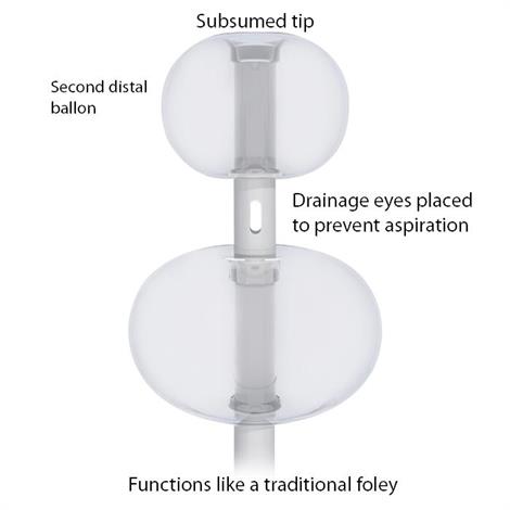 Poiesis Duette Dual-Balloon Two-Way Foley Catheter | HPFY