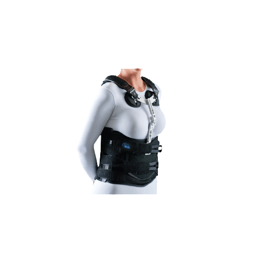 Optec Oasis Tlso Bivalve Spinal System By Optec Usa Health Products